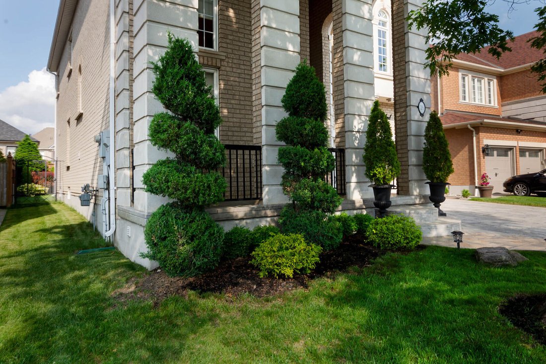 Vellore Village In Vaughan, Ontario, Canada For Sale (16164979)