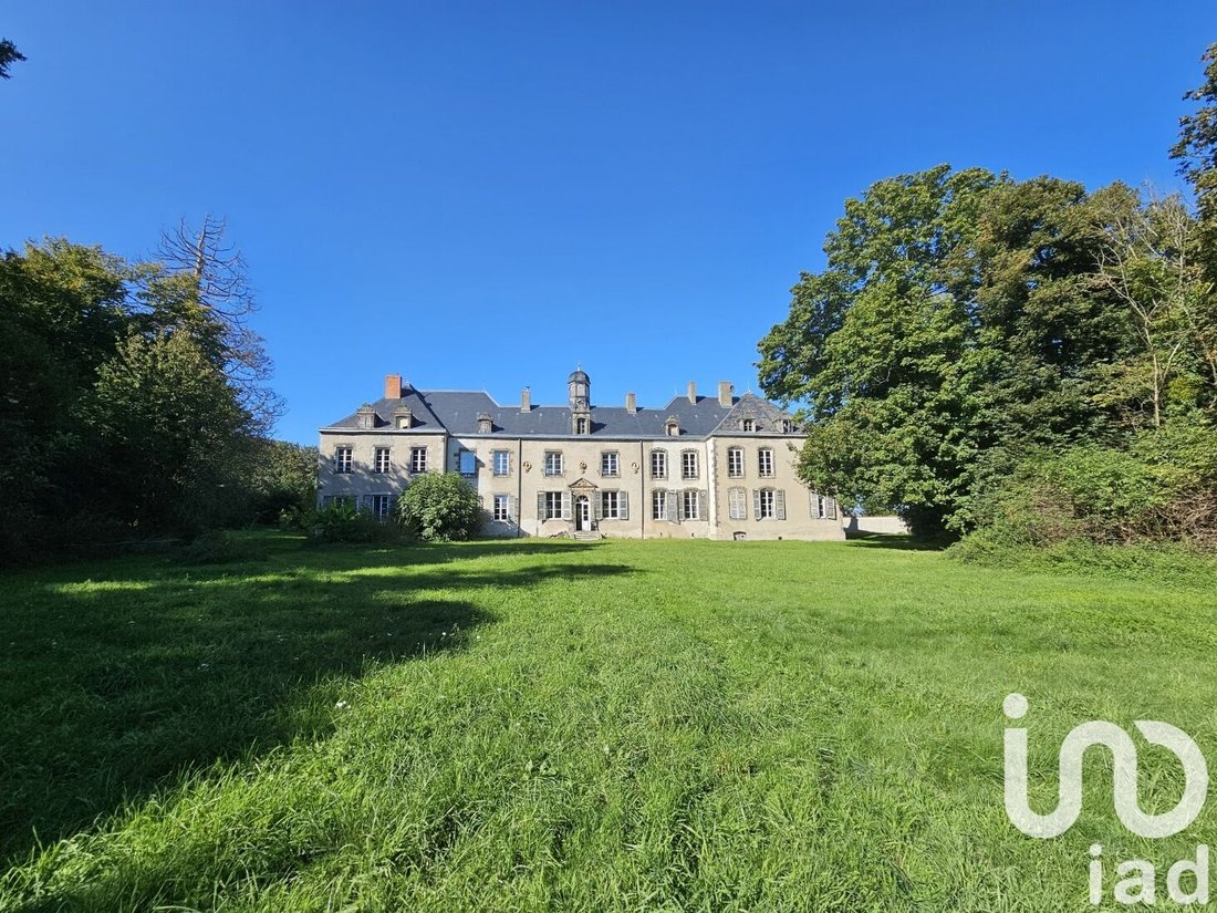 Vente Château 15 Pièces In Cognat Lyonne, Auvergne Rhône Alpes, France ...