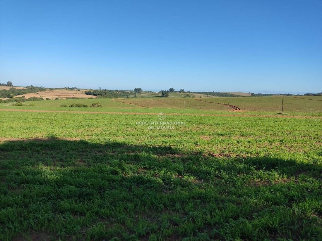 Farm/Ranch Centro Brazil In General Maynard, State Of Sergipe, Brazil ...