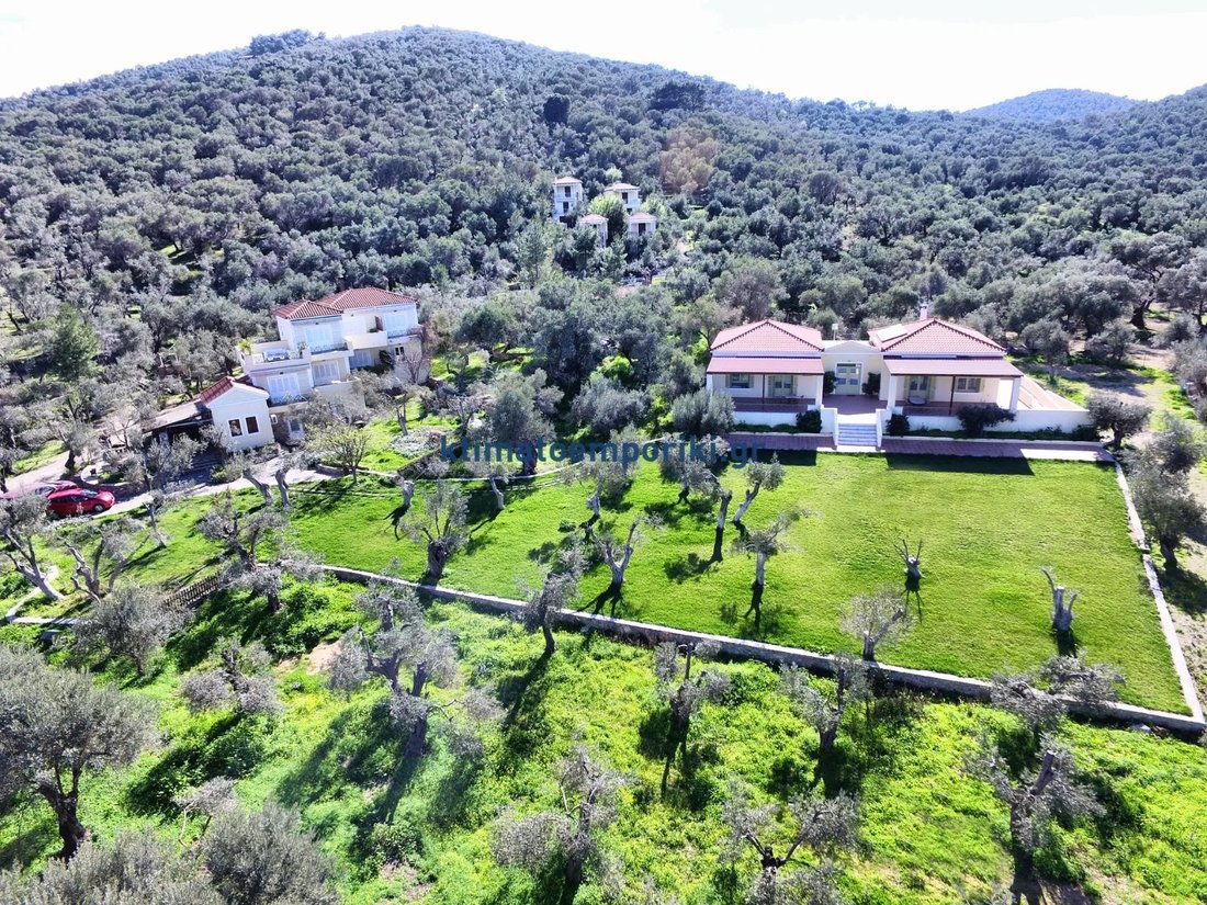 1831987 Hotel For Sale, Lesvos Geras, 1.700 Sq.M., In Marmaro, Greece ...