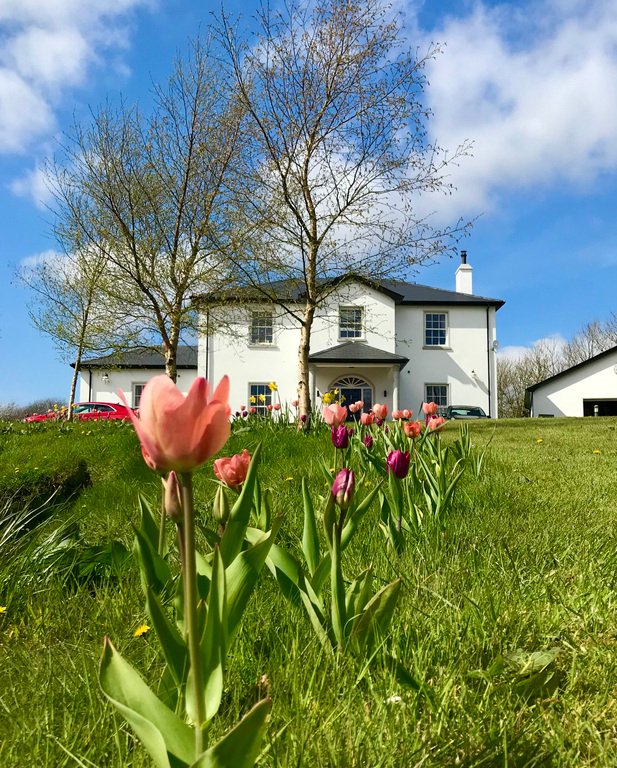 House Coleraine In Coleraine, Northern Ireland, United Kingdom For Sale ...