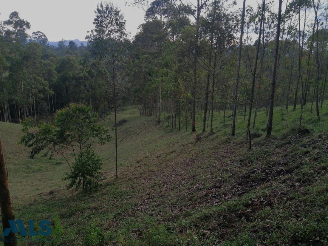 Excellent Lot To Develop A Country Housing Project In Rural, Colombia ...