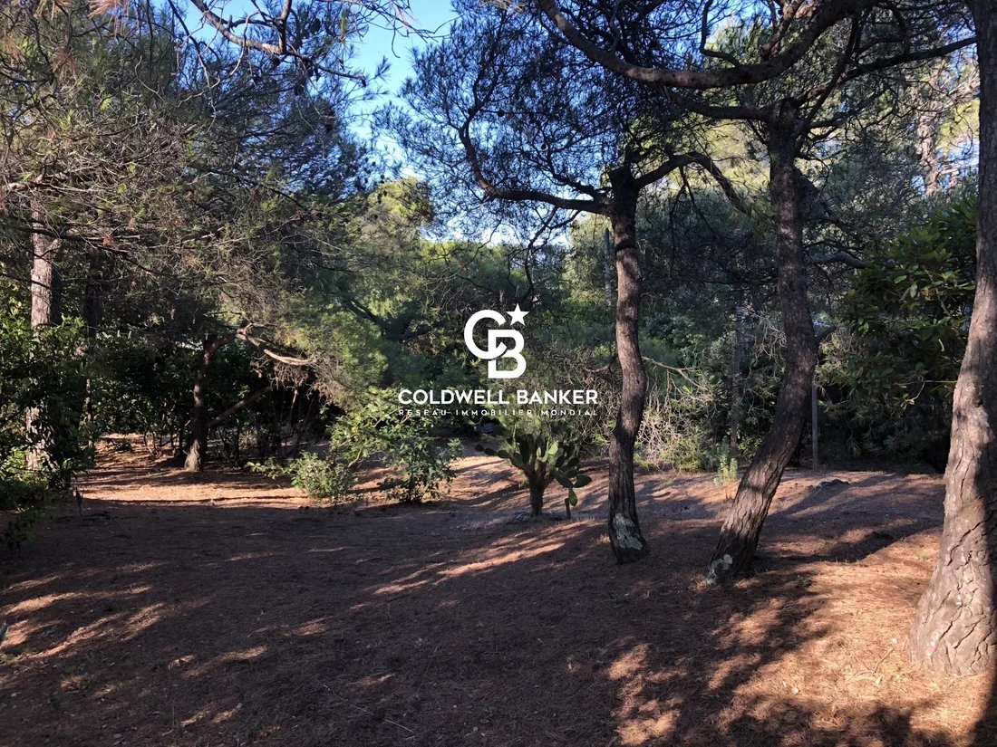 Terrain à Bâtir Dans La Croix Valmer, Provence Alpes Côte D'azur ...