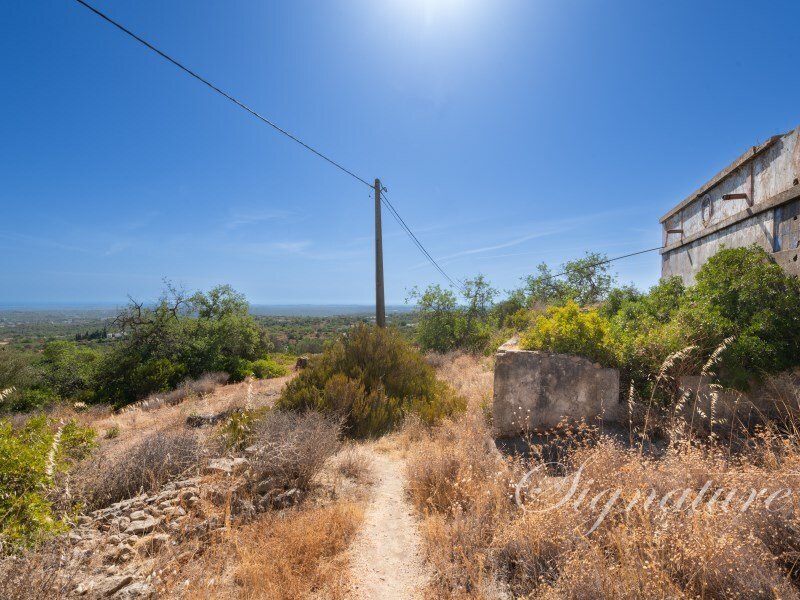 Enorme Parcela Con Un Total De 2,6 Hectáreas (= 6 Acres) Con 2 En ...