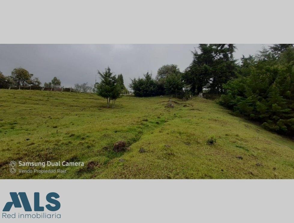 Independent Farm In Rionegro El Tablazo In Rionegro, Antioquia ...