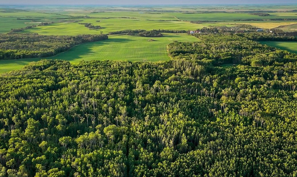 Rural Camrose County, Edmonton In Meeting Creek, Alberta, Canada For ...