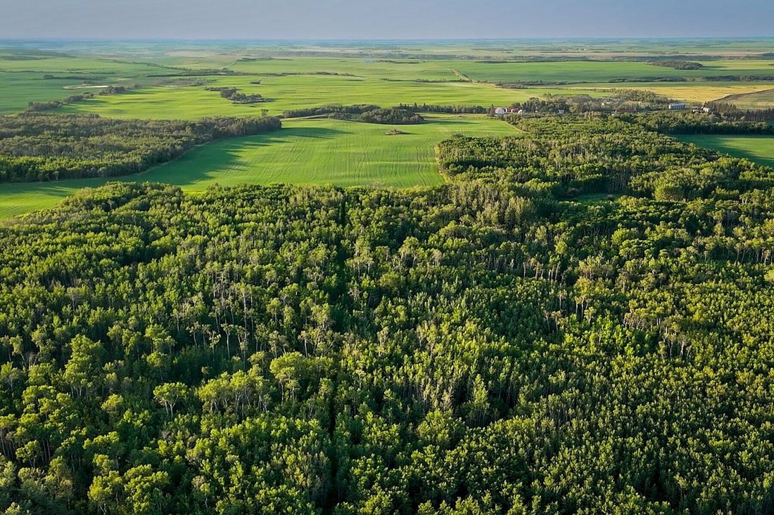 Rural Camrose County, Edmonton In Meeting Creek, Alberta, Canada For ...