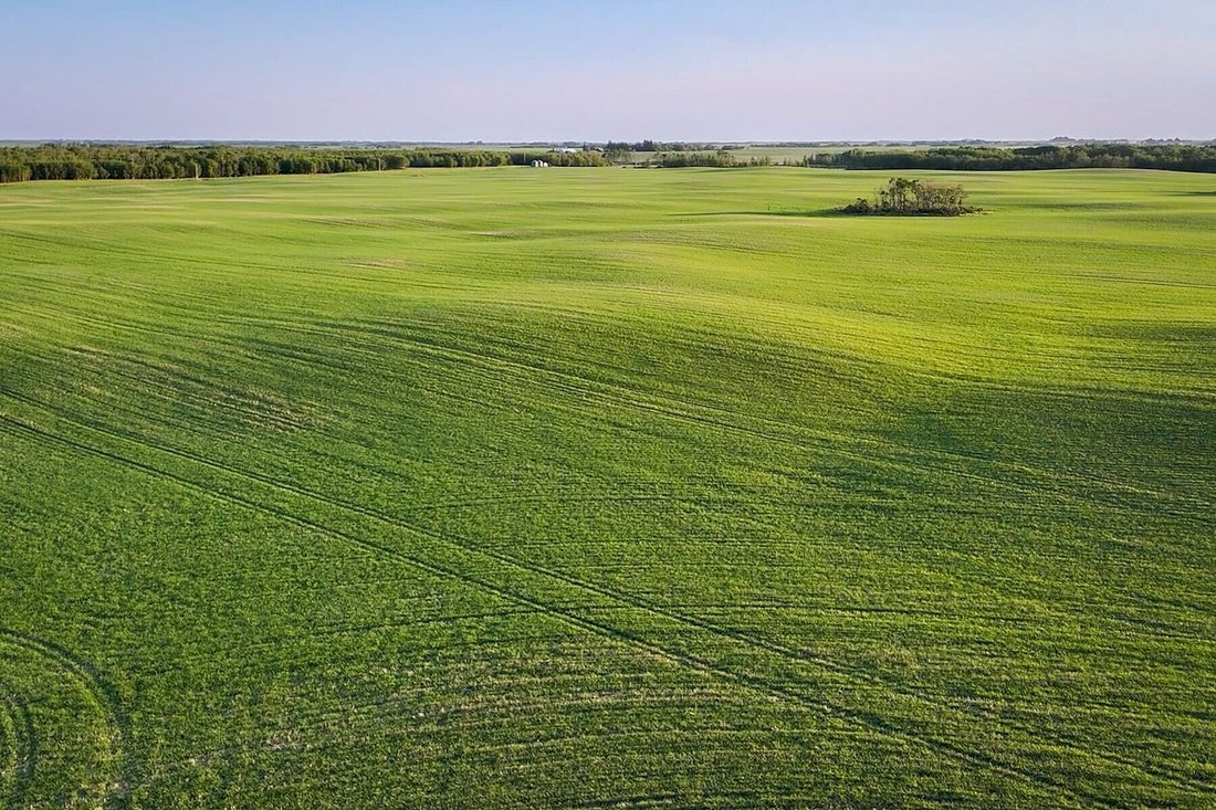 Rural Camrose County, Edmonton In Meeting Creek, Alberta, Canada For ...