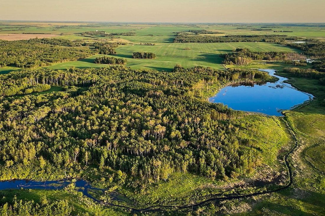 Rural Camrose County, Edmonton In Meeting Creek, Alberta, Canada For ...