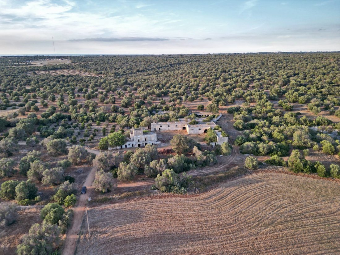 Masseria For Sale In Torricella In Apulia, Italy For Sale (16269479)