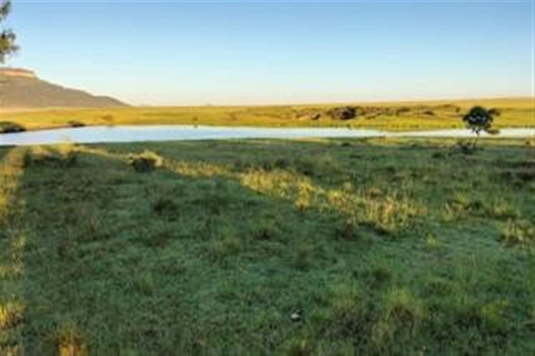 Farm In Ladybrand In Ladybrand, Free State, South Africa For Sale ...