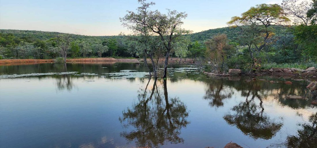 Stunning Game Farm For Sale: Your Own Slice Of In Vaalwater, South ...