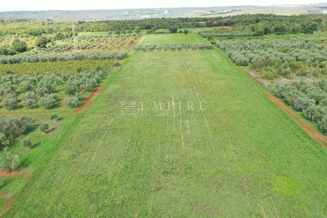 Land Tar, Tar Vabriga, 84.000m2 In Tar, Istria County, Croatia For Sale ...