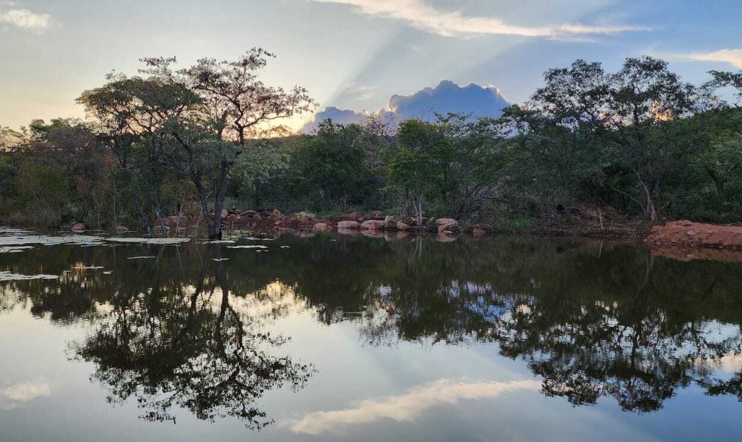 Stunning Game Farm For Sale: Your Own Slice Of In Vaalwater, South ...