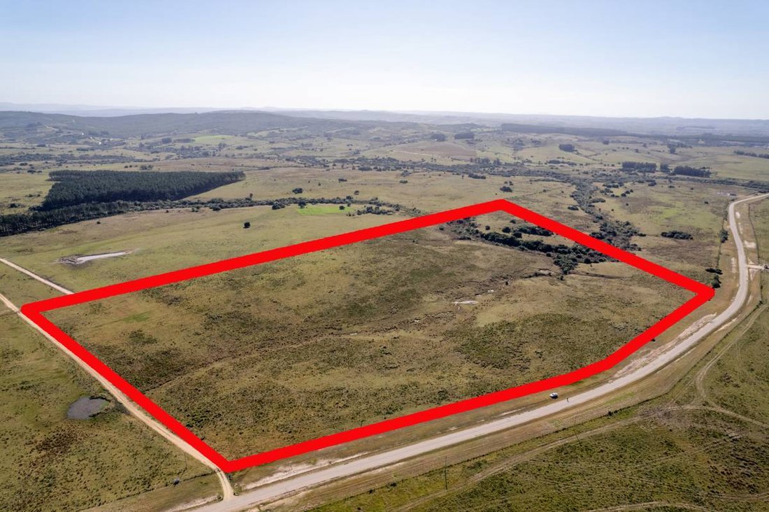 Chacra De 25 Has. En Garzon In Garzón, Maldonado Department, Uruguay ...