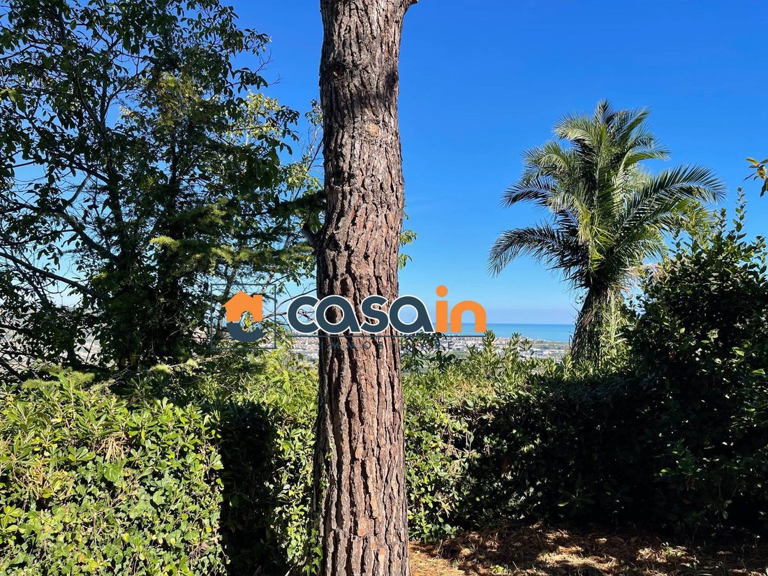 Manor For Sale In Colonnella, Collinare In Abruzzo, Italy For Sale ...