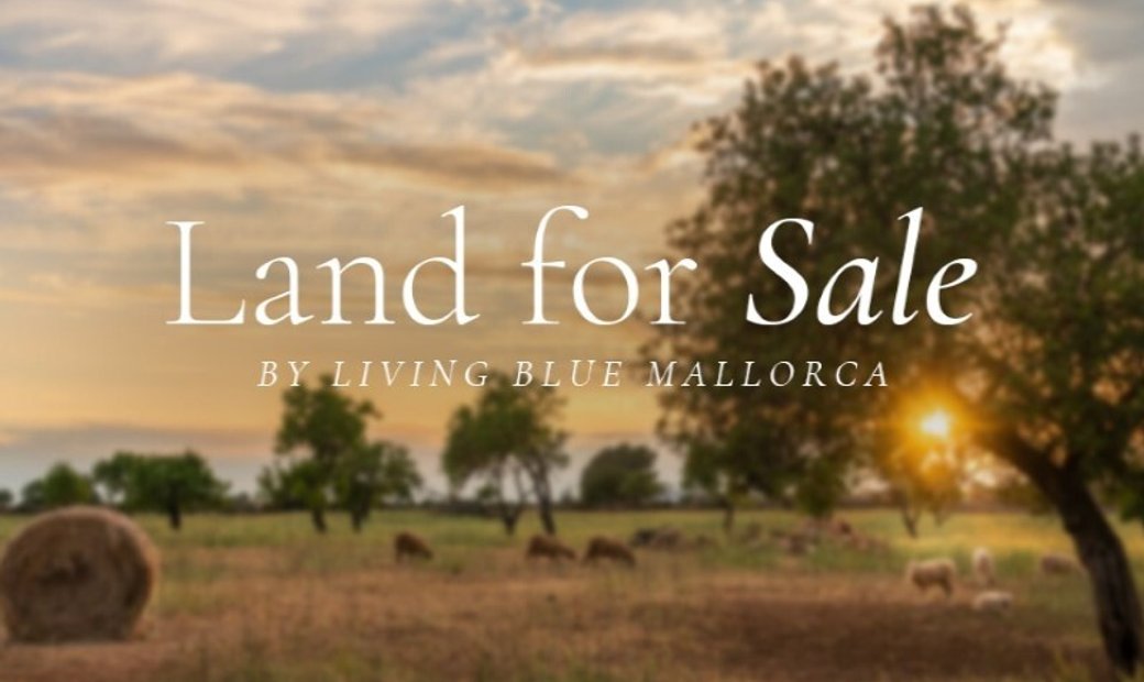 Extensive Plot With House Structure And En Artá, Islas Baleares, España ...