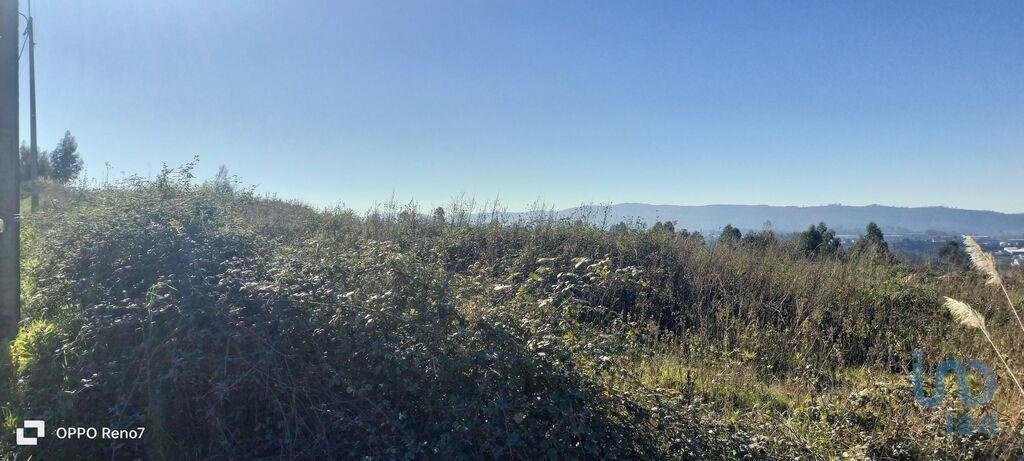 Paredes Land In Paredes, Porto District, Portugal For Sale (16365730)