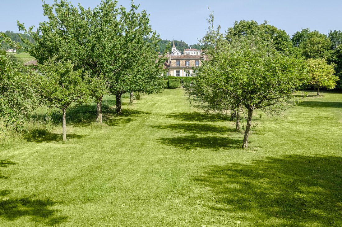 Historic 18th Century Castle, 15,000 M2 Park, In Féchy, Vaud ...