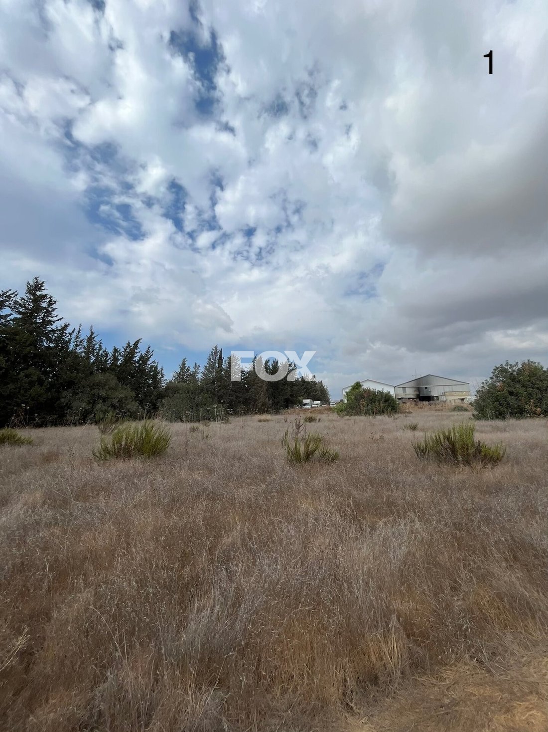 Field For Sale In Ypsonas In Ypsonas, Limassol, Cyprus For Sale (16374546)