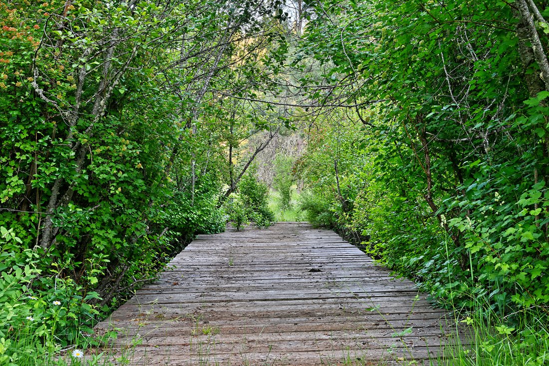 Residential In Prospect In Prospect, Oregon, United States For Sale ...