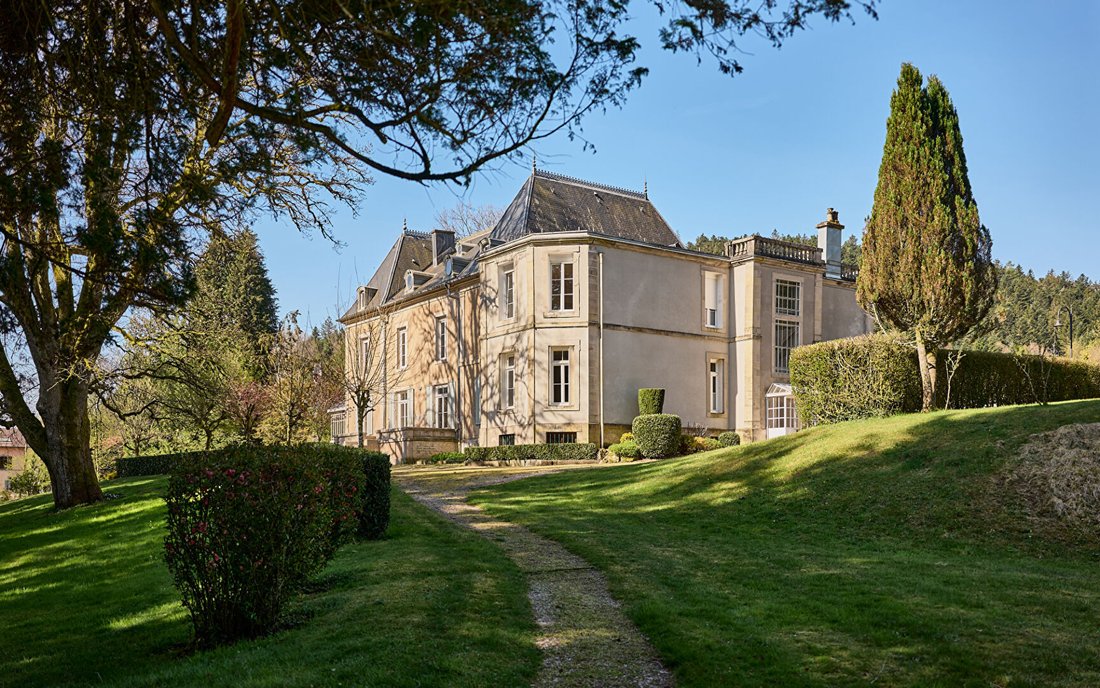 Castle In Remiremont, Grand Est, France For Sale (16369752)
