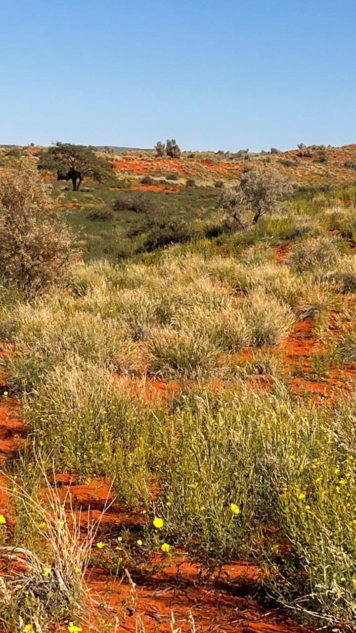 **Stunning 8022 Ha Kalahari Farm Near En Upington, El Cabo Norte ...