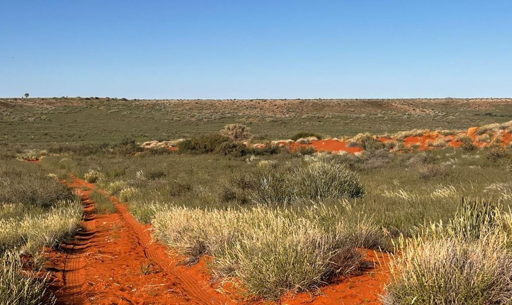 **Stunning 8022 Ha Kalahari Farm Near En Upington, El Cabo Norte ...