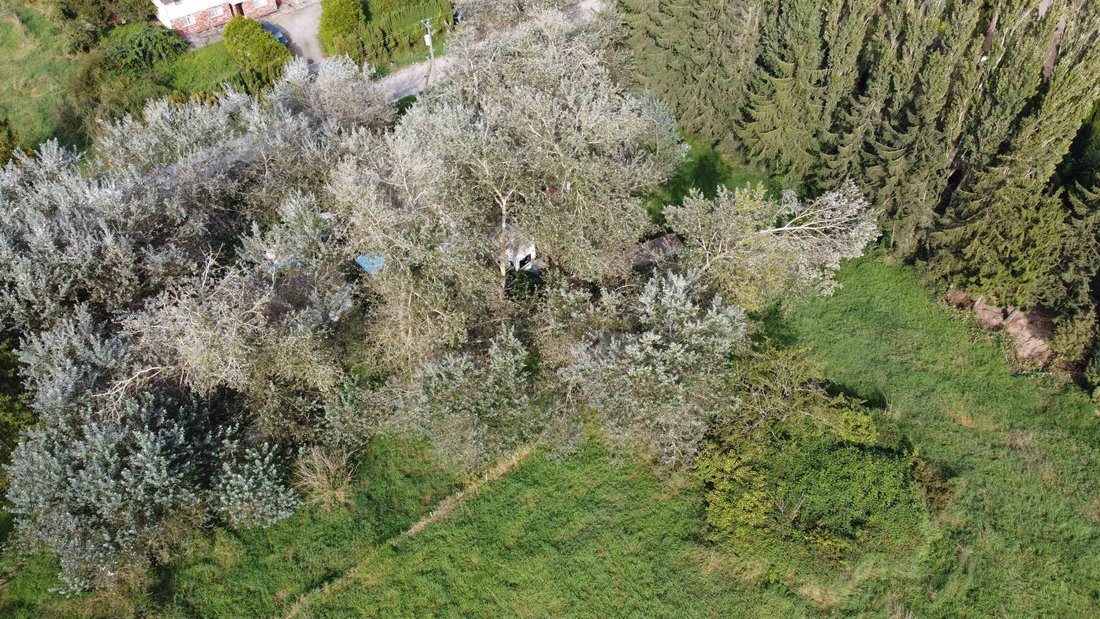 Unique Five Acre Property In Surrey, British Columbia, Canada For Sale ...