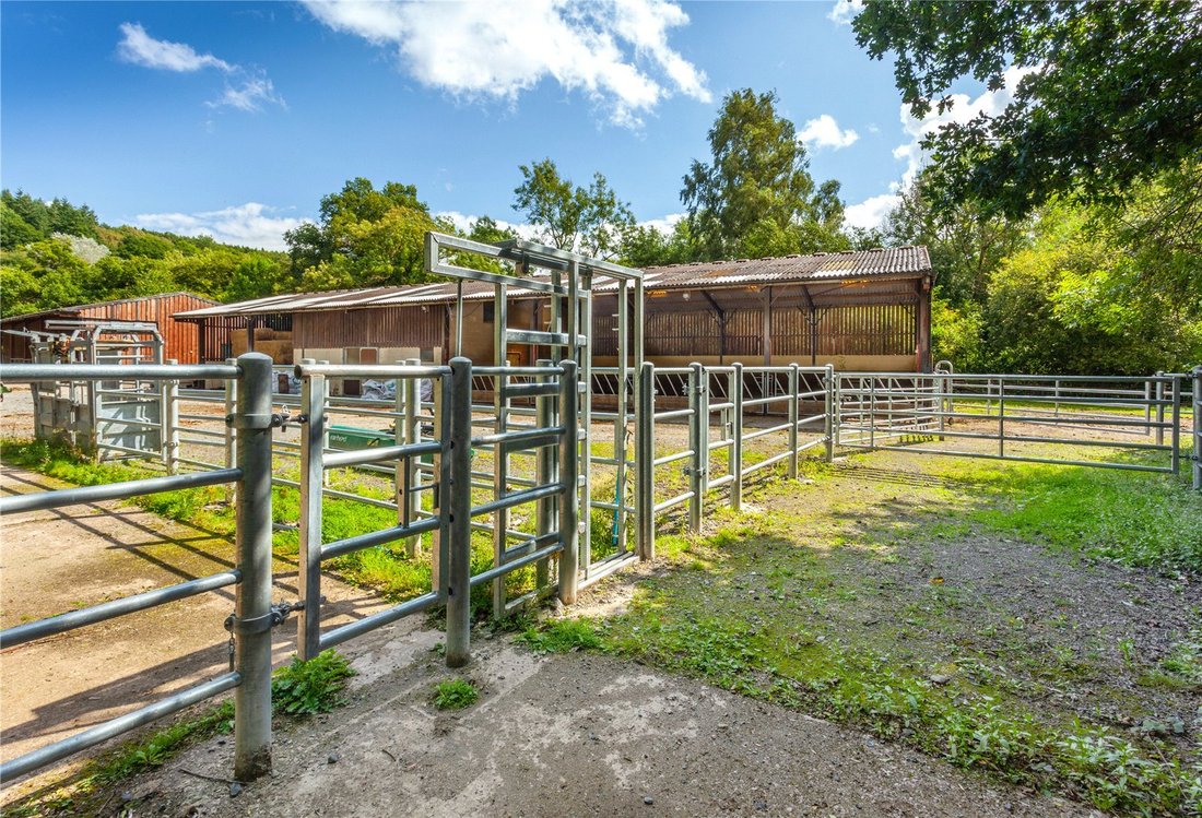 Land, Keepers Farm, Suckley, Worcester, En Suckley, Inglaterra, Reino ...