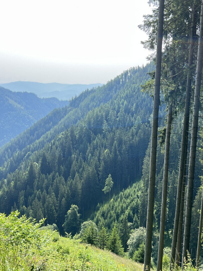 Propriété De 123 Ha Avec Une Propriété Dans Bruck An Der Mur, Styrie ...