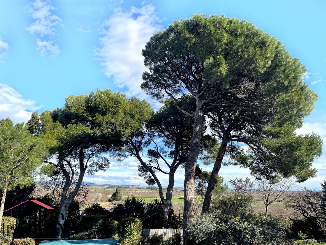 15 Minutes From Narbonne, Building With Open In Capestang, Occitanie ...