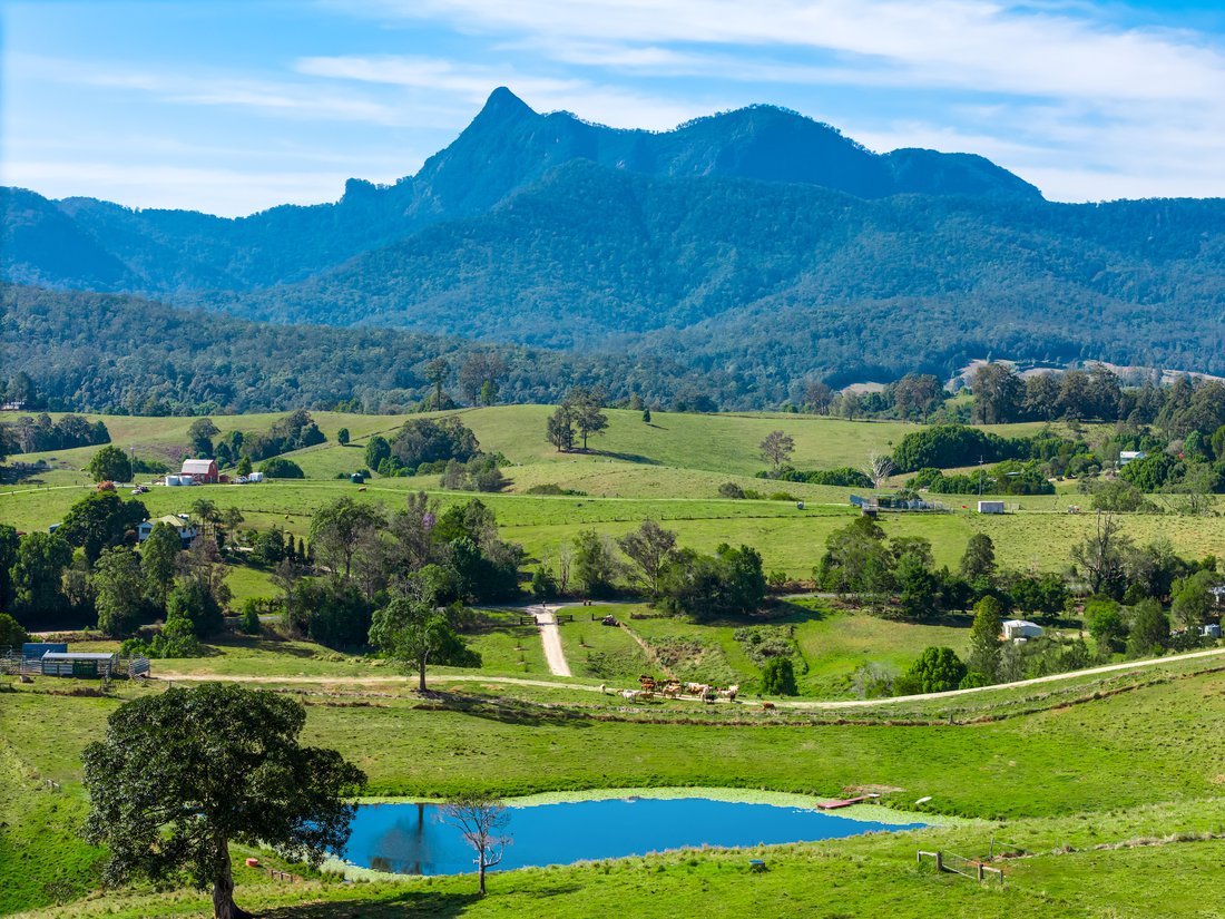 714 Limpinwood Road, Limpinwood In Broken Head, New South Wales ...