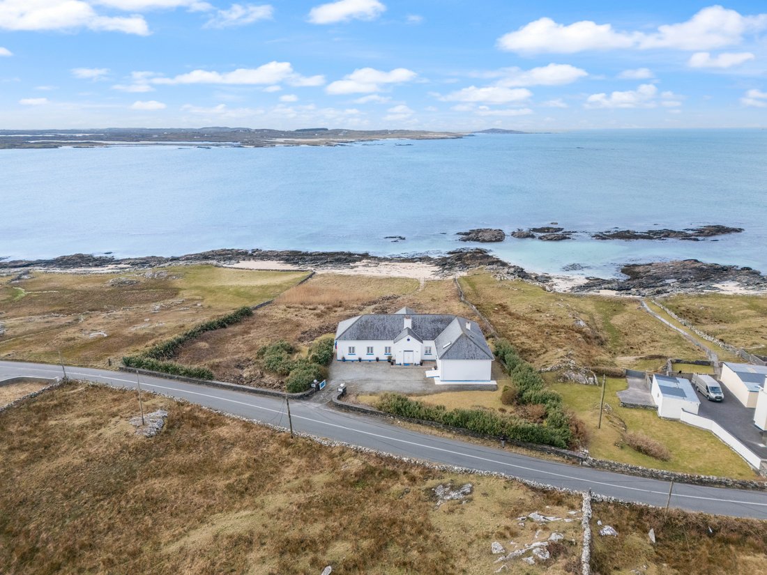 Blue Salmon In Ballyconneely, County Galway, Ireland For Sale (16484367)