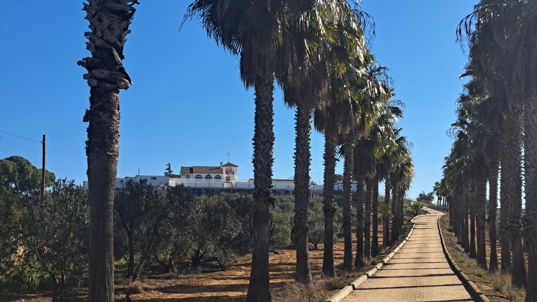Landgut Mairena Del Alcor In Mairena Del Alcor, Andalusien, Spanien Zu ...