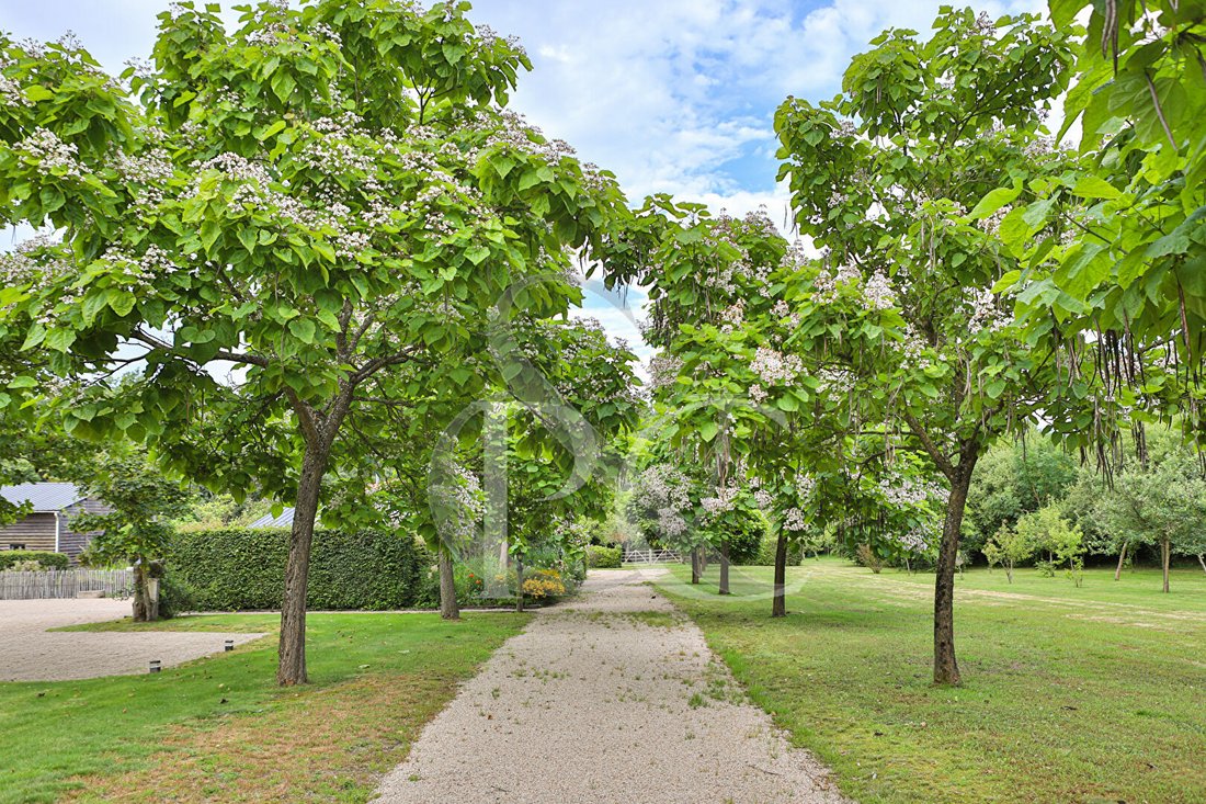 Farmhouse In La Roche Sur Yon, Pays De La Loire, France For Sale (16398523)
