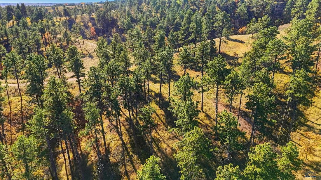 Land In The Black Hills In Colonial Pine Hills, South Dakota, United ...
