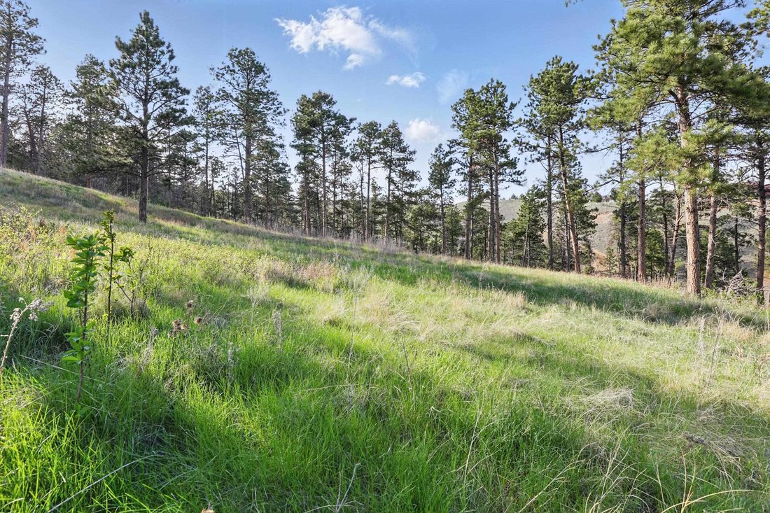 Terre Dans Dans Colonial Pine Hills, South Dakota, Dakota Du Sud, états ...