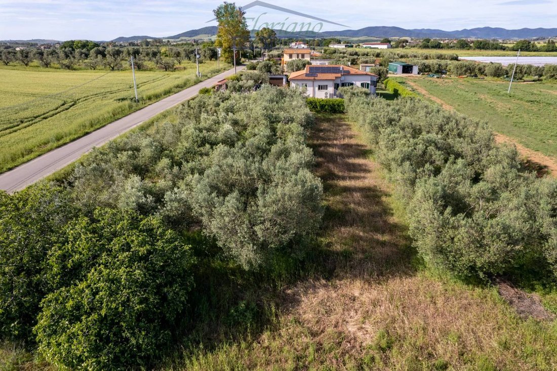 Renovated Independent Villa In Pescia Romana In Montalto Di Castro ...