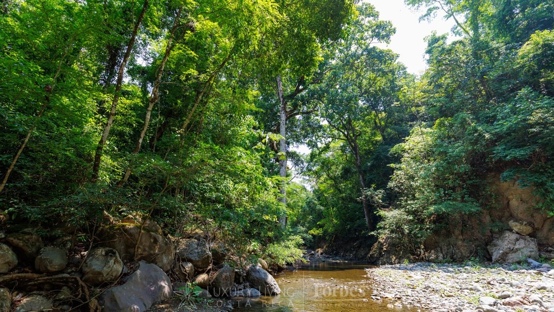 20180 Azienda Agricola In San Mateo, Provincia Di Guanacaste, Costa ...