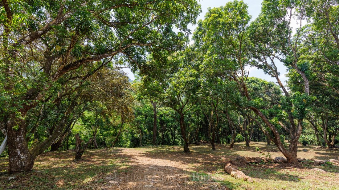 20180 Lote Residencial De En San Mateo, Provincia De Guanacaste, Costa ...