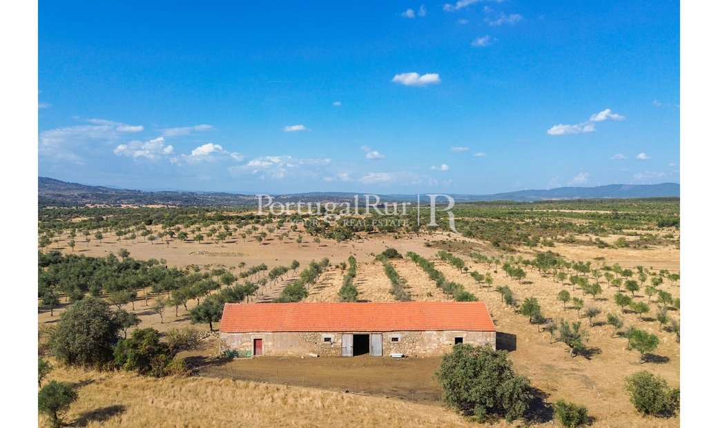 Country Estate Sale Penamacor In Penamacor, Castelo Branco District ...