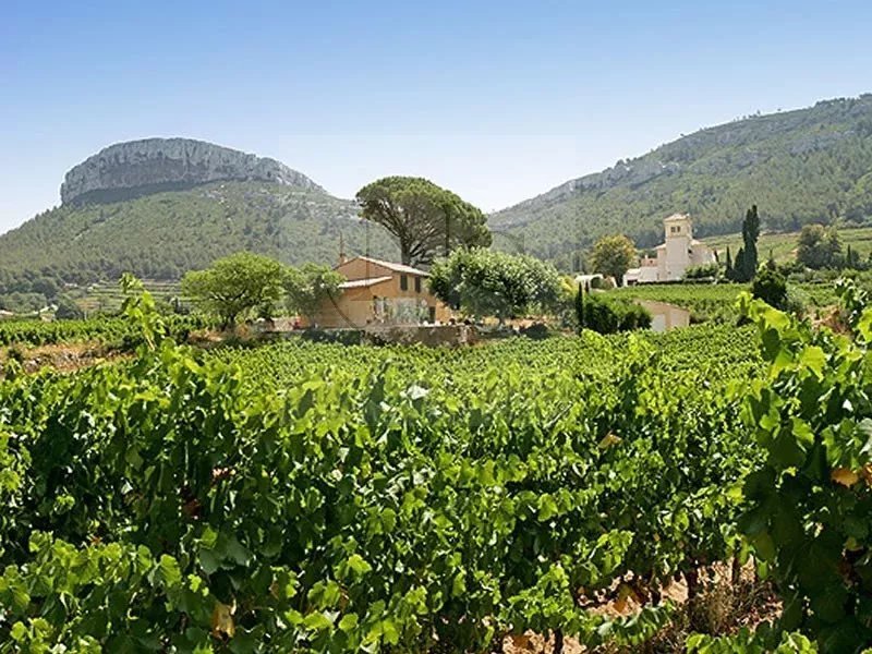 Cassis / Wine Castle With Real In Cassis, Provence Alpes Côte D'azur ...