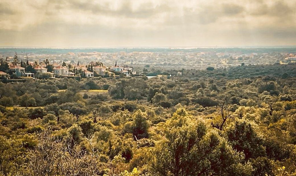 Loulé Country Land In Almancil, Algarve, Portugal For Sale (16572820)