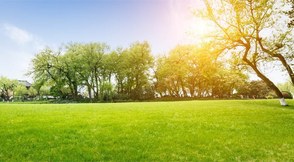 Favaro Veneto Seltenes Baugrundstück In Venice, Venetien, Italien Zu ...