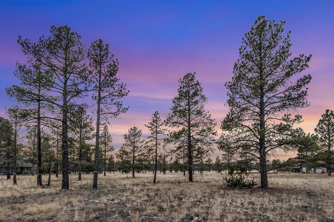 Lockett Ranches In Flagstaff, Arizona, Vereinigte Staaten Zu Verkaufen ...