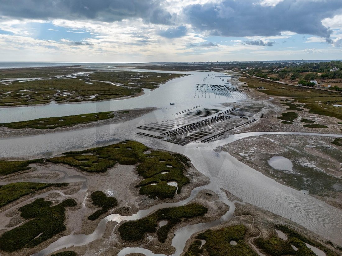 Land Tavira In Luz De Tavira E Santo Estevao, Algarve, Portugal Zu ...