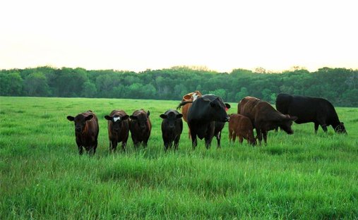 Luxury waterfront homes for sale in Axtell, Texas | JamesEdition