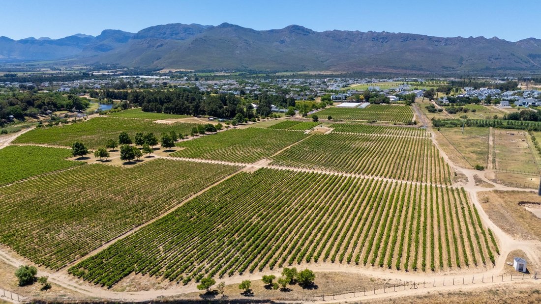 Extraordin In Val De Vie Winelands Lifestyle Estate, Western Cape ...