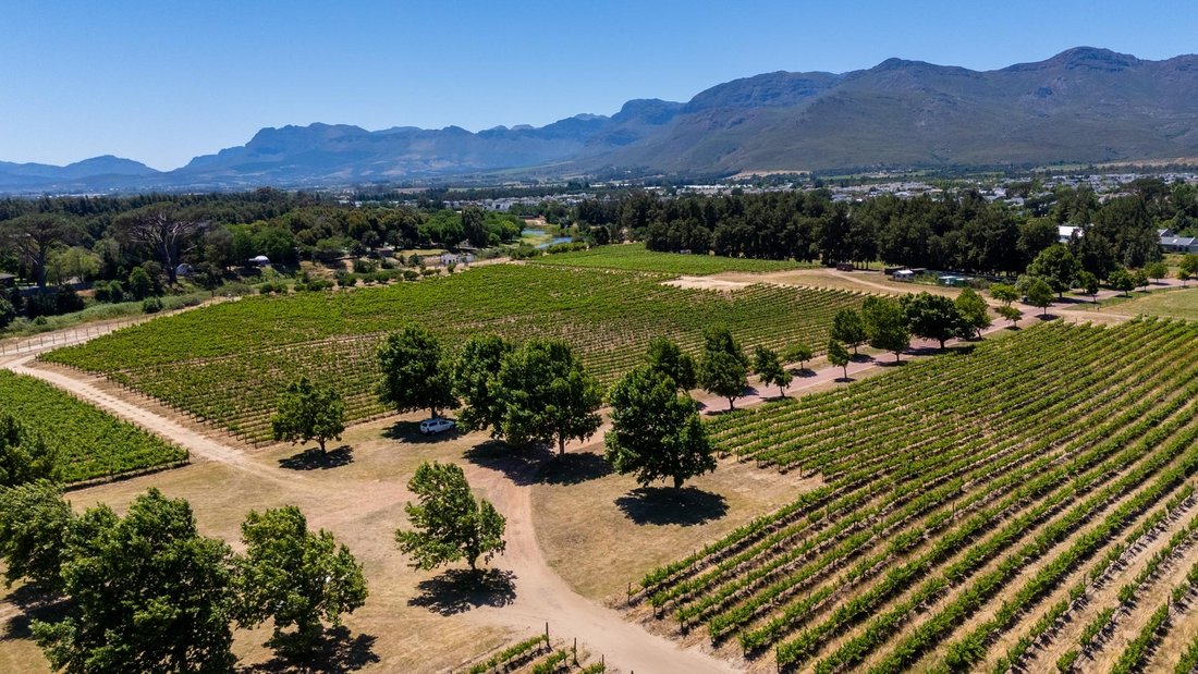 Extraordin In Val De Vie Winelands Lifestyle Estate, Western Cape ...
